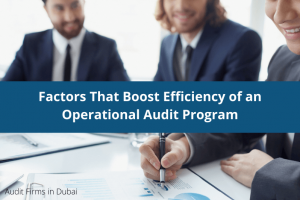 Factors that Boost Efficiency of an Operational Audit Program