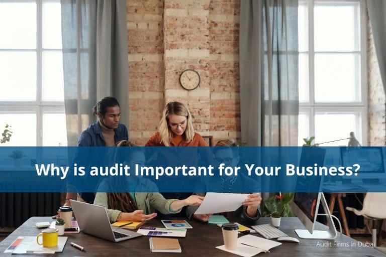 Business Audit in UAE - Why is audit Important for Your Business