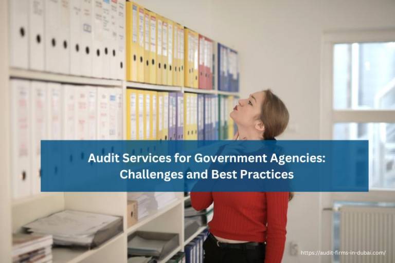 Audit Services for Government Agencies